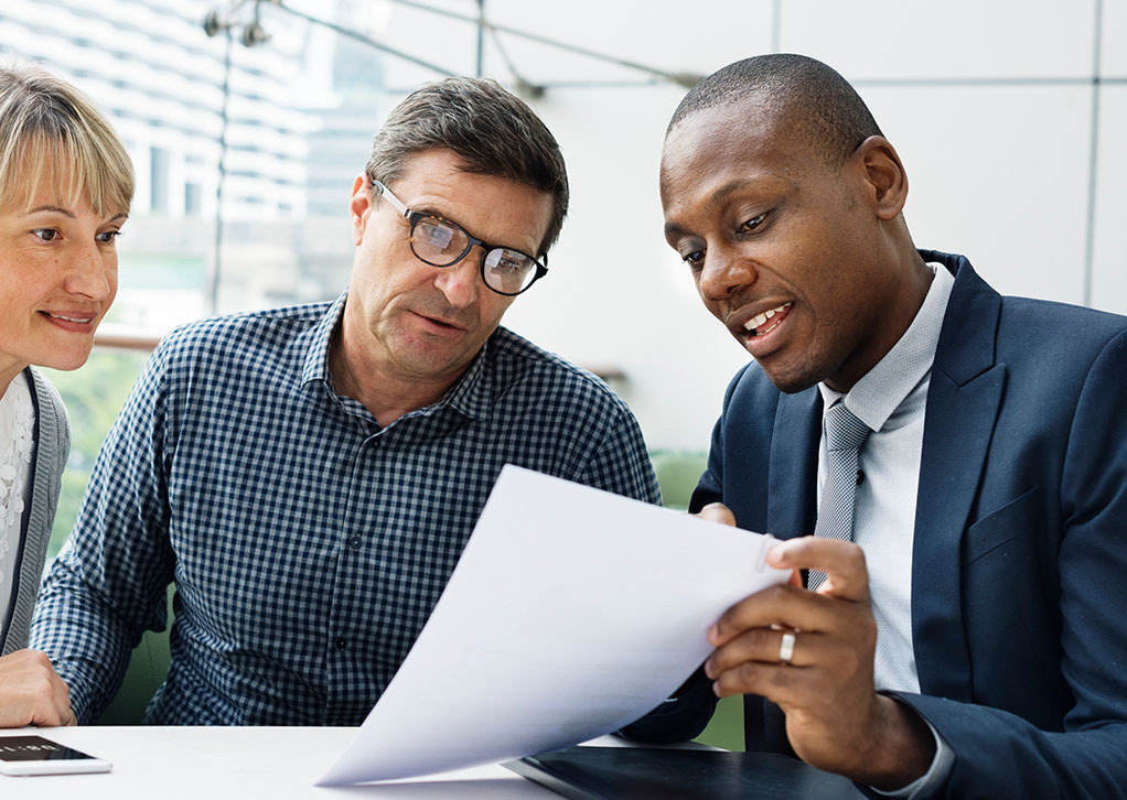 What We Can Learn About Teamwork From The Animal Kingdom